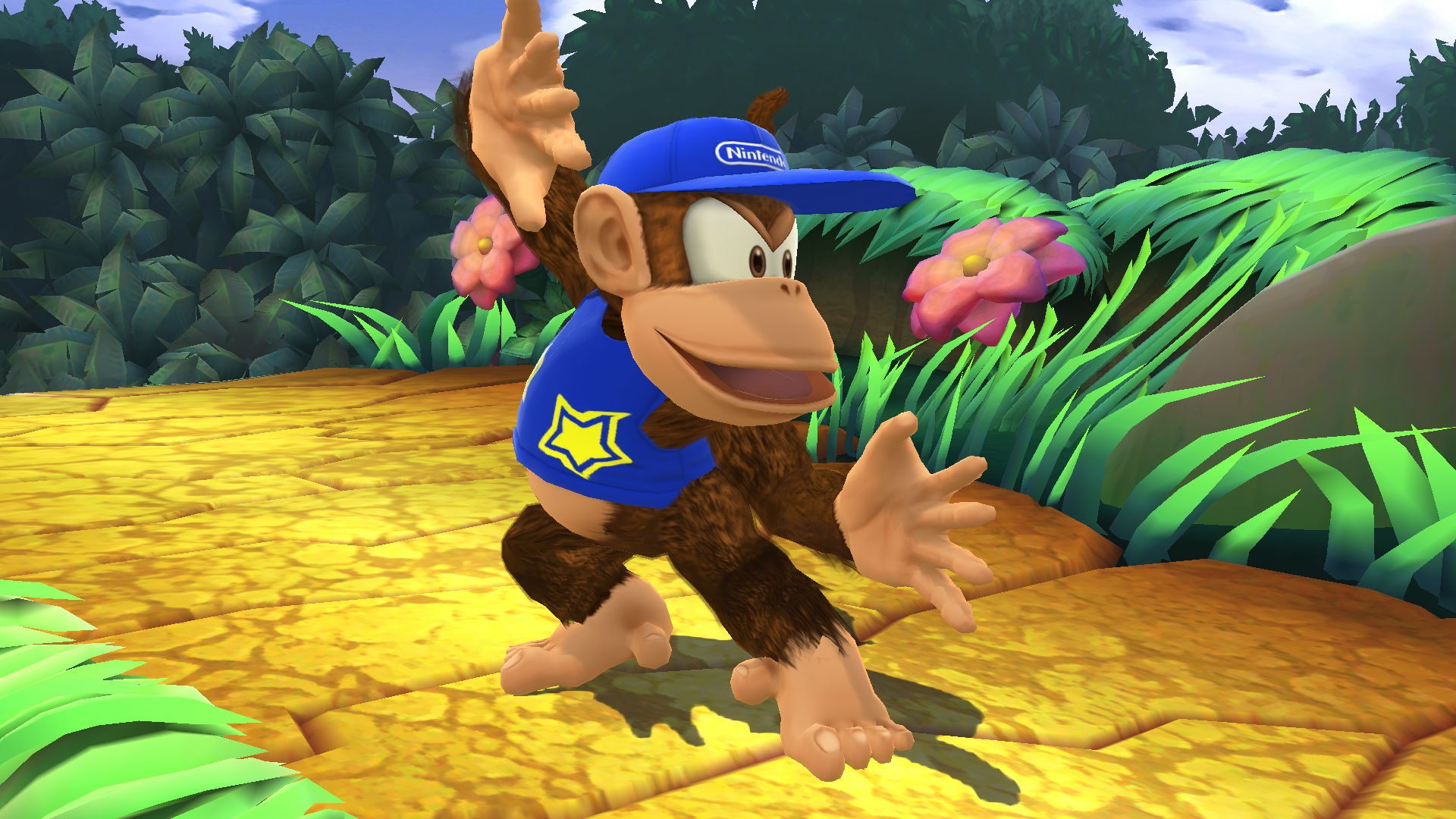Diddy Kong Mod Pack [Super Smash Bros. (Wii U)] [Mods]