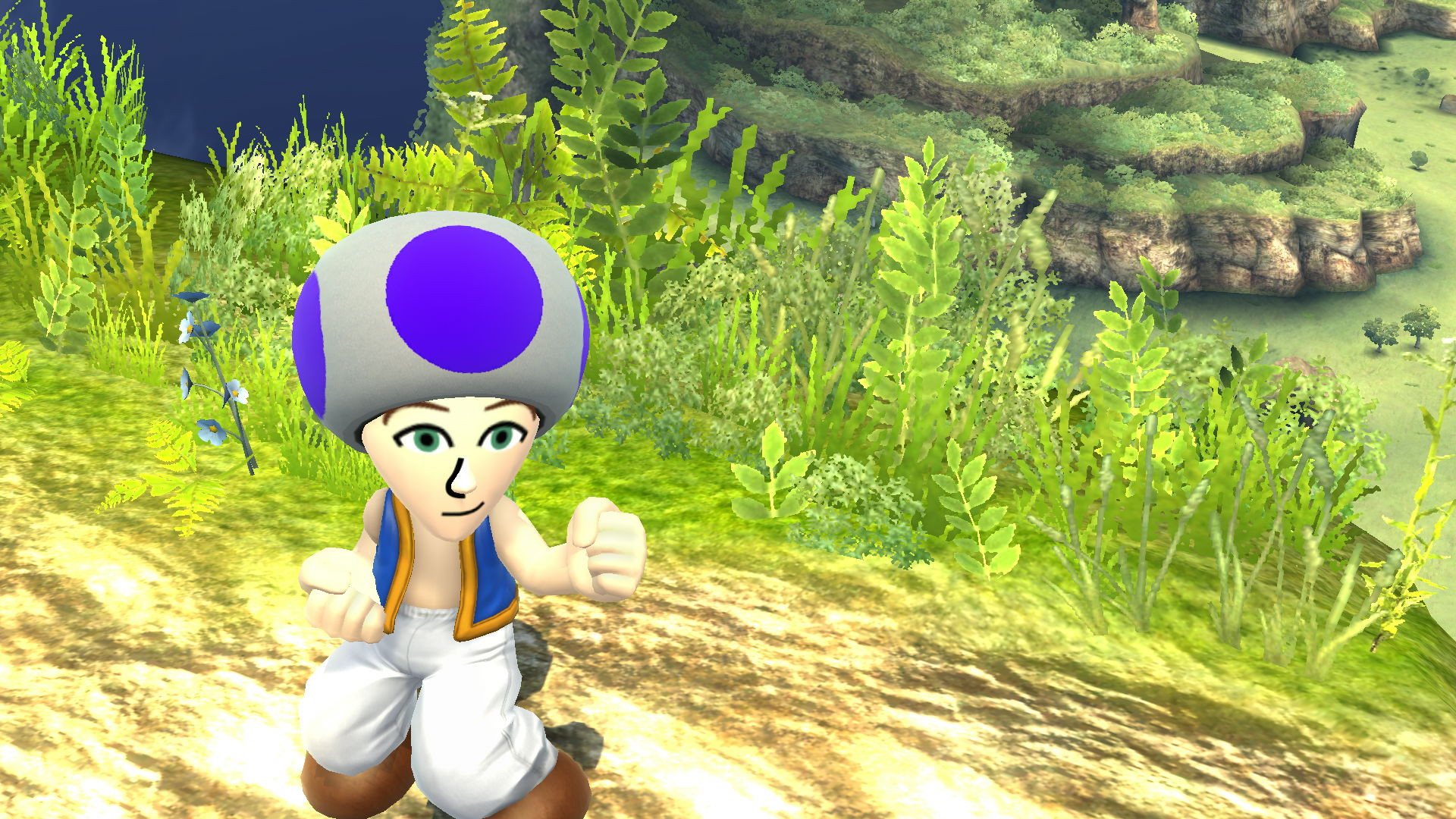 Additional Toad Mii Hat Colors [Super Smash Bros. (Wii U)] [Mods]