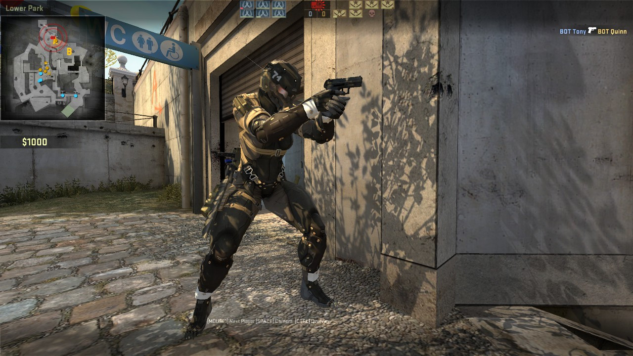 MGS4 Frog Players [Counter-Strike: Global Offensive] [Mods]