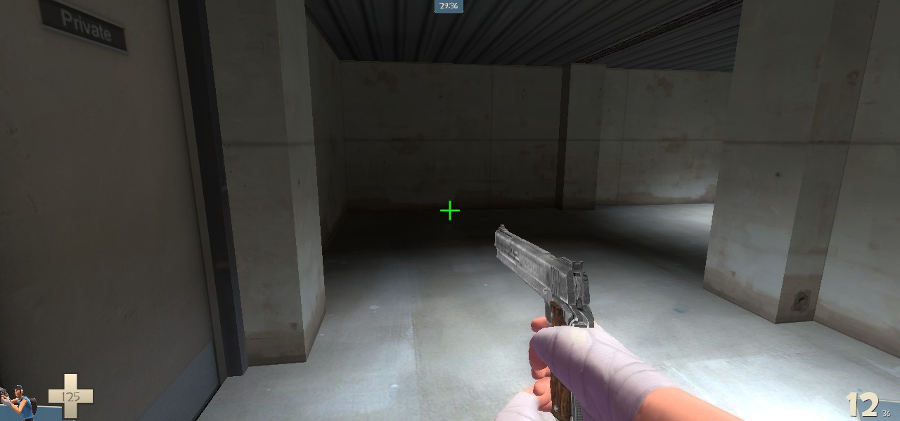 .454 Casull (Hellsing) [Team Fortress 2] [Mods]