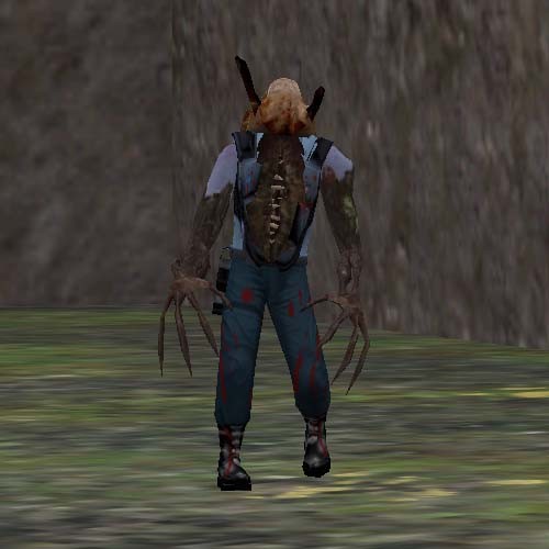 Zombie Duo [Half-Life] [Mods]