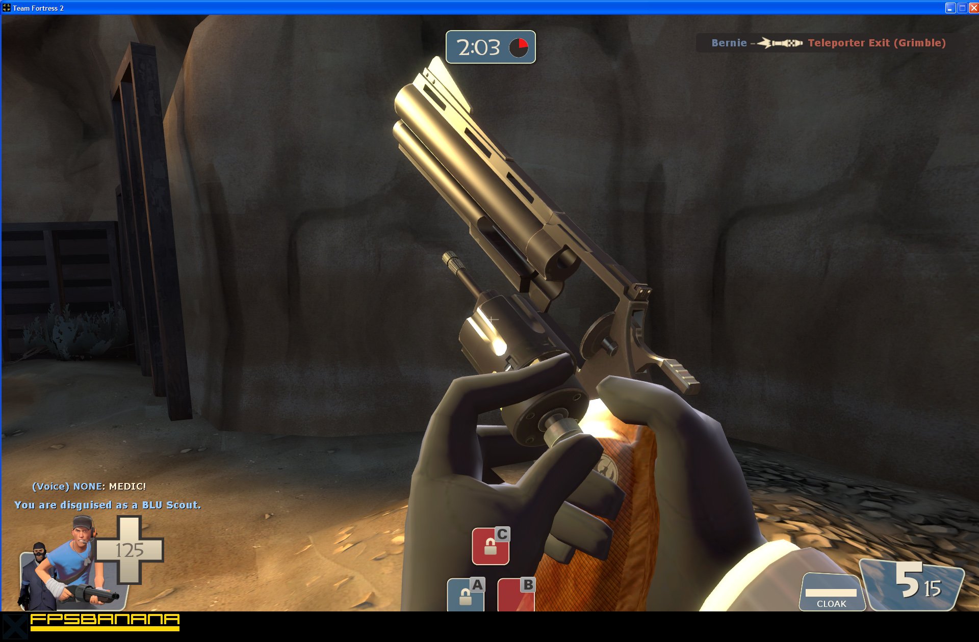 Colt Spython .357 Combat Revolver Mod for Team Fortress 2 | TF2 Mods