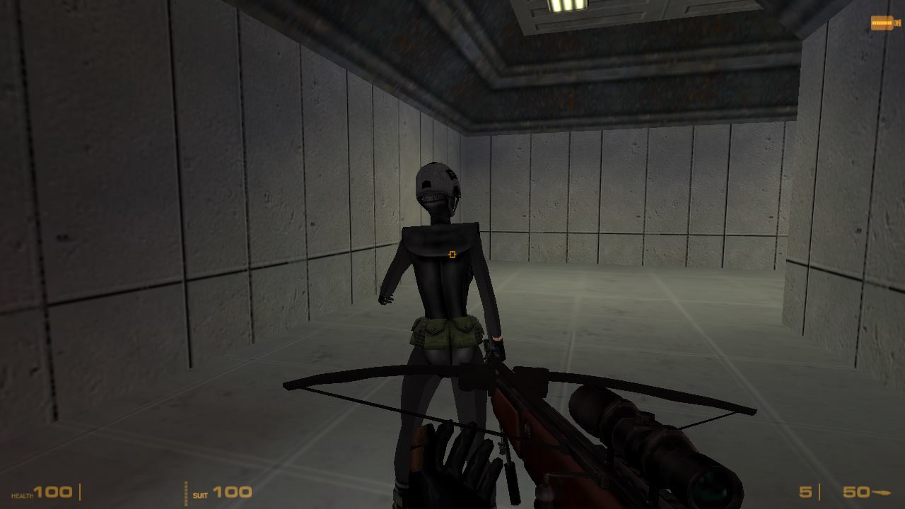 HL: Revisioned's Assassin Mod for Half-Life | HL Mods