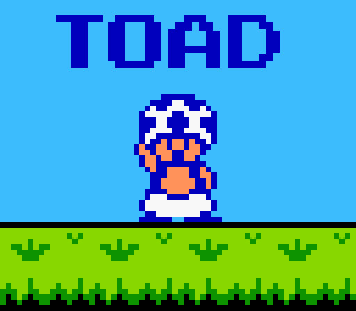 SMB2 Toad [Sonic Boll] [Mods]