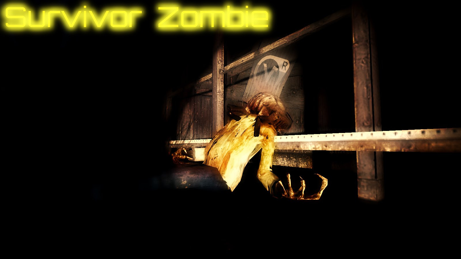 Survivor Zombie [Half-Life 2] [Mods]
