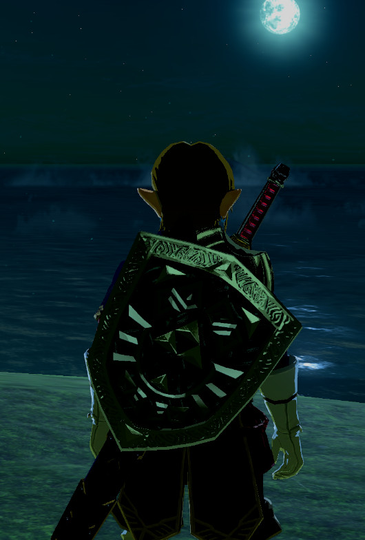 Damien's Old Man Link Hylian Shield [The Legend of Zelda: Breath of the ...