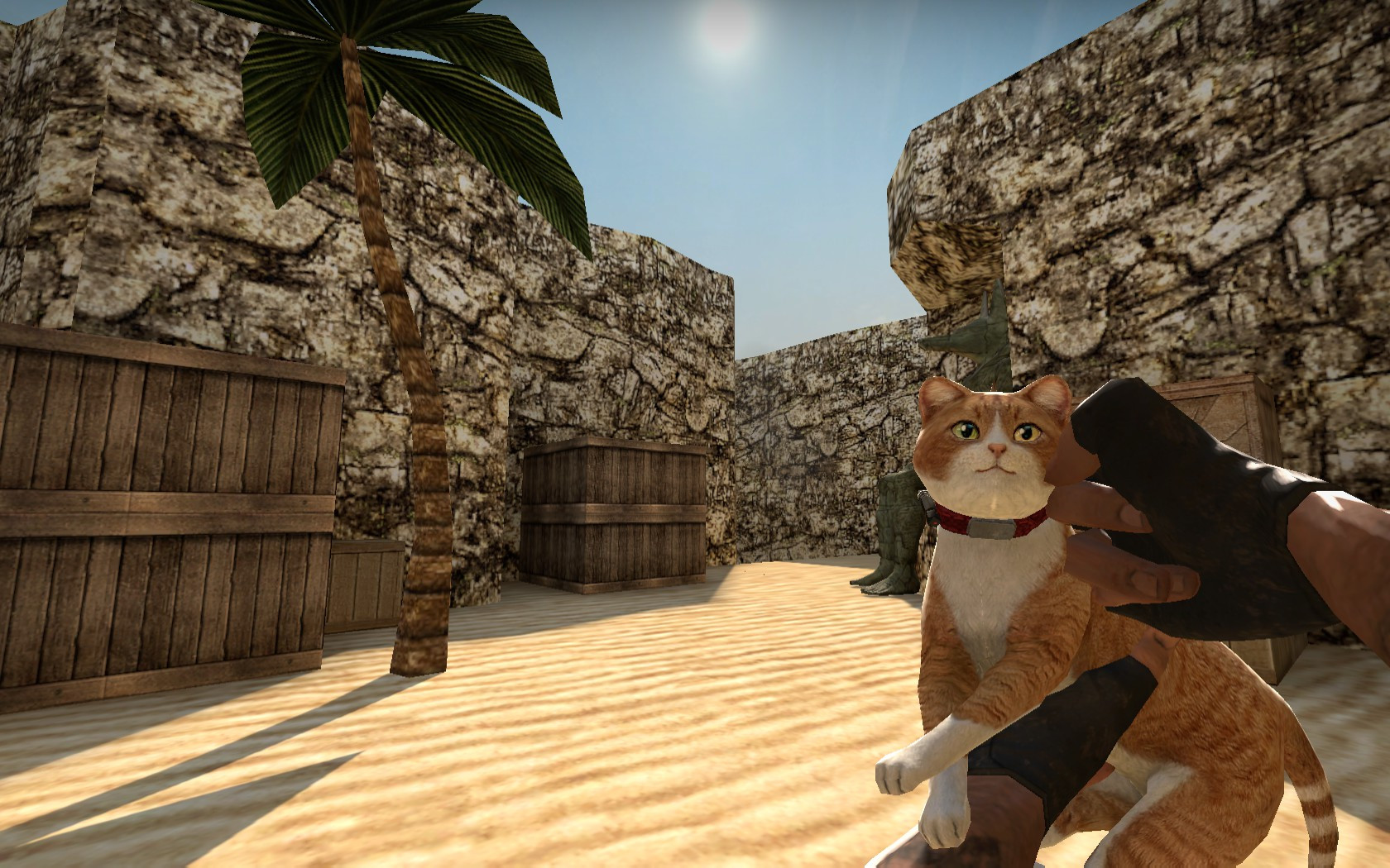 Cat Gun - Server-Side Mod for Counter-Strike: Global Offensive | CS:GO Mods