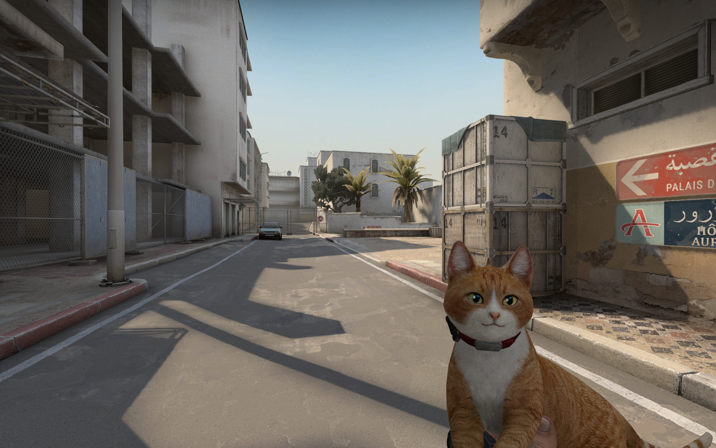 Cat Gun (SF2) + How to install Mod for Counter-Strike: Global Offensive ...