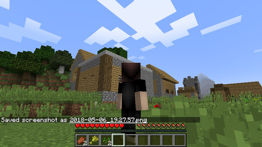 SimpleFlips Skin (With BUP version) [Minecraft: Java Edition] [Mods]