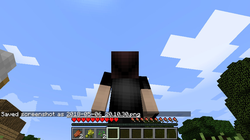 SimpleFlips Skin (With BUP version) Mod for Minecraft: Java Edition ...