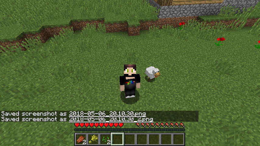 SimpleFlips Skin (With BUP version) Mod for Minecraft: Java Edition ...