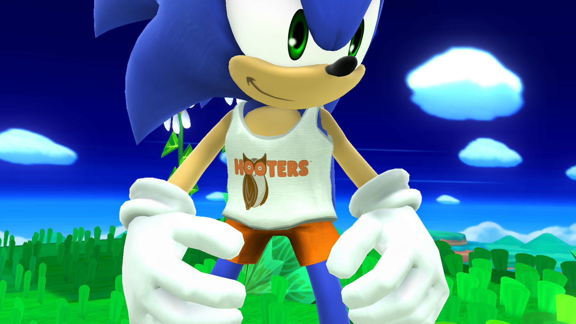 Hooters Sonic [Super Smash Bros. (Wii U)] [Mods]