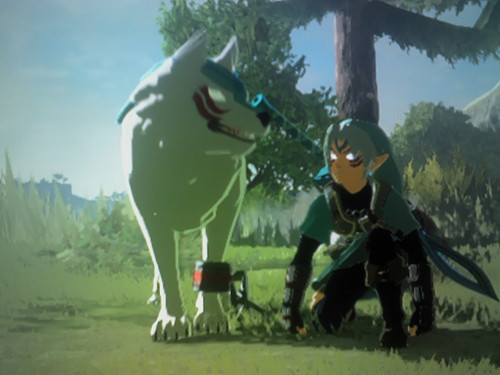 Fiery deity Hyrule Warriors Mod for The Legend of Zelda: Breath of the ...