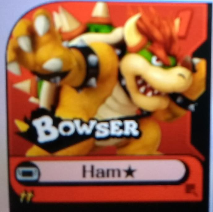 Bowser's Inside Story Nameplate [Super Smash Bros. (Wii U)] [Mods]