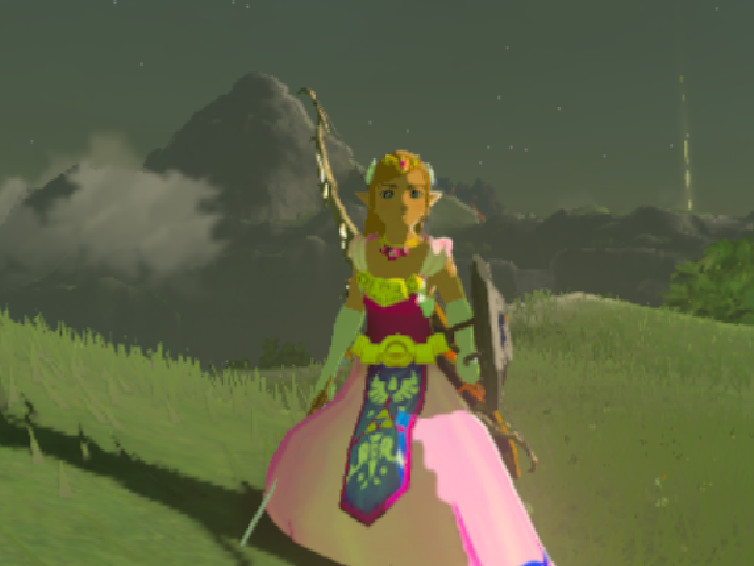 Zelda Wind Waker dress [The Legend of Zelda: Breath of the Wild (Switch ...