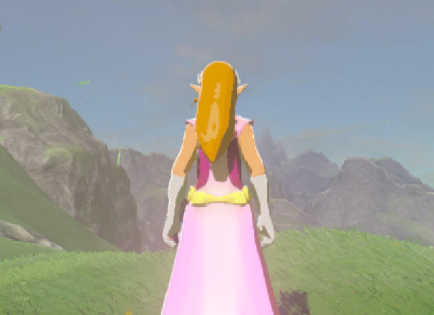 Zelda Wind Waker dress [The Legend of Zelda: Breath of the Wild (Switch ...