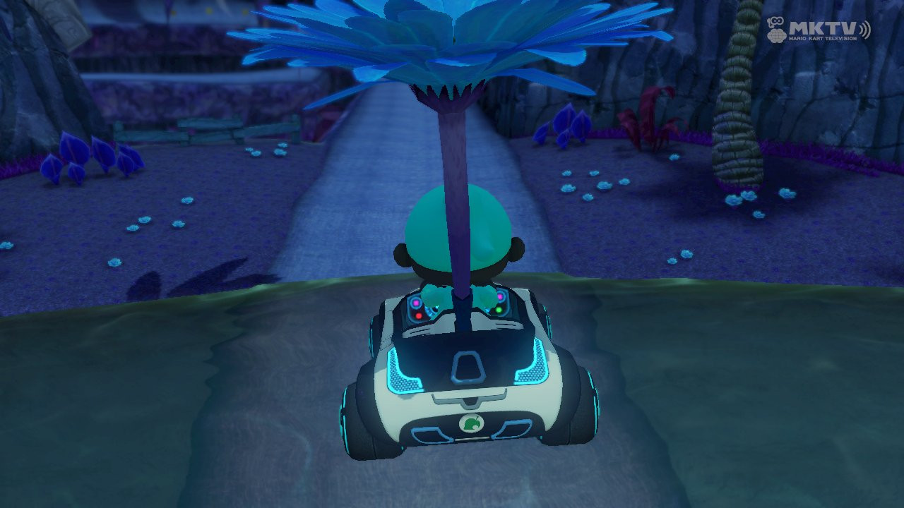 Parallel Flower Glider [Mario Kart 8] [Mods]