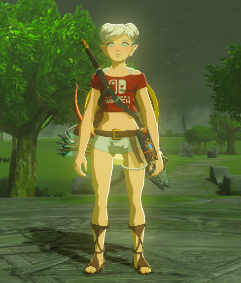 Linkle Customized Hair and Eye Colors Merged Mods Mod for The Legend of ...