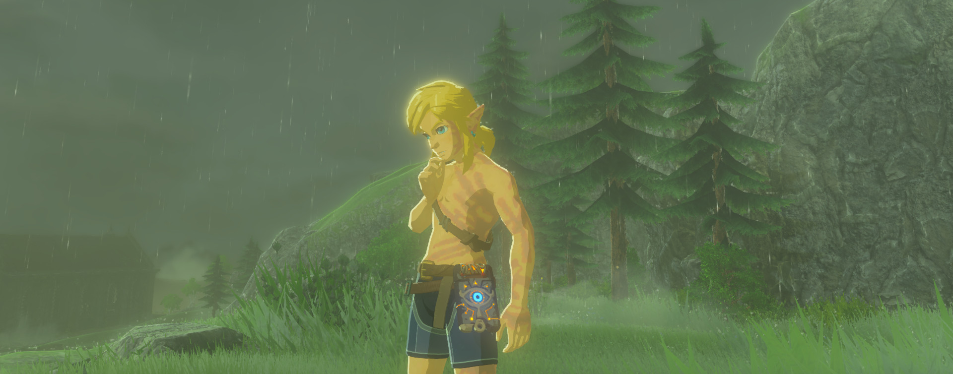 Linked Universe Wild Link Mod for The Legend of Zelda: Breath of the ...