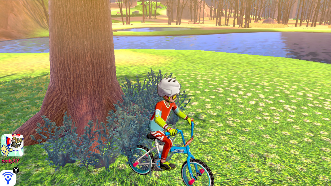 HQ res mod Sword & Shield Mod for Pokemon Sword & Shield | SWSH Mods