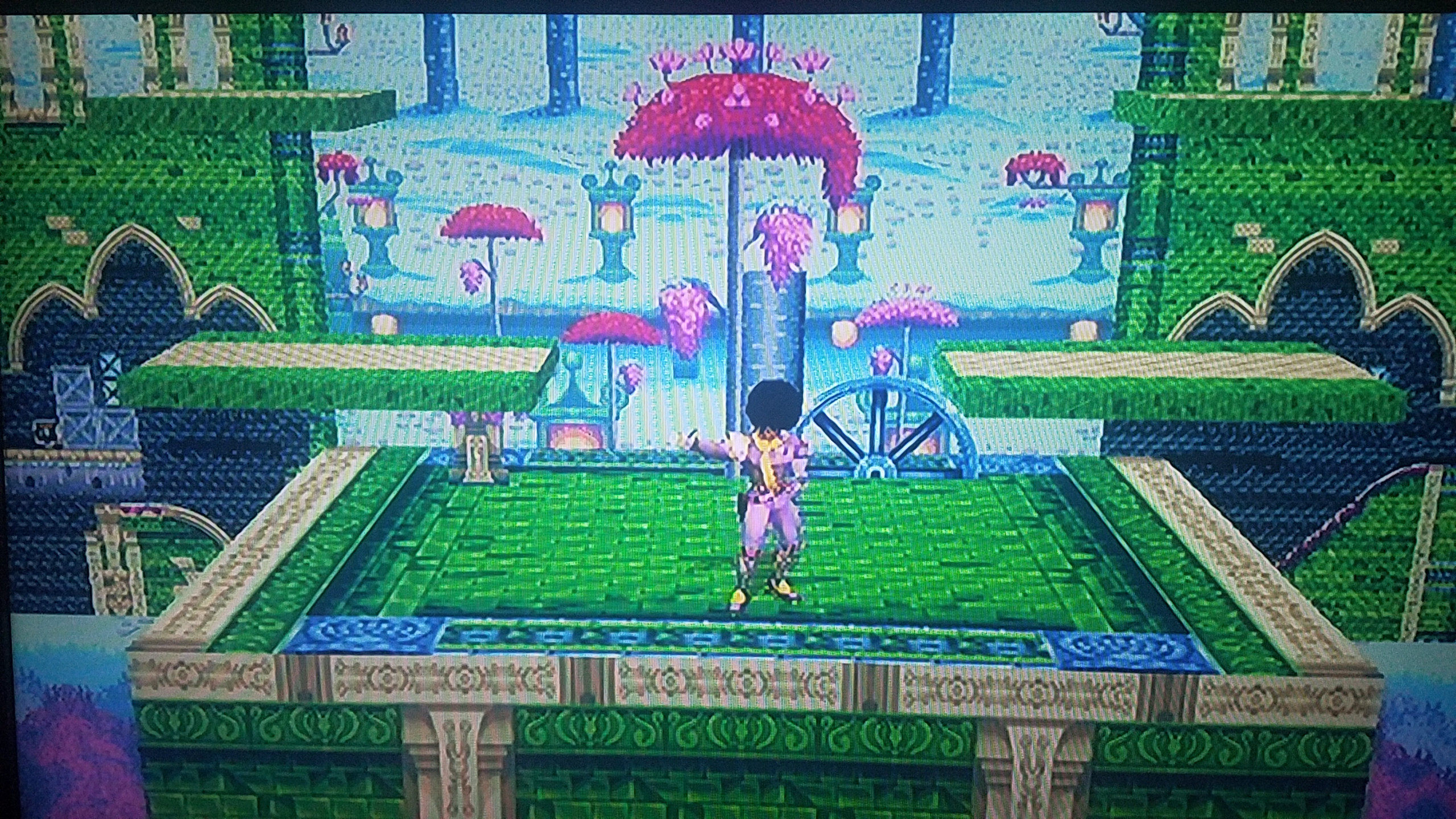 Press Garden WW Mod for Super Smash Bros. Brawl | Brawl Mods