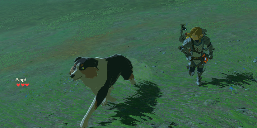Where Are Dogs Botw