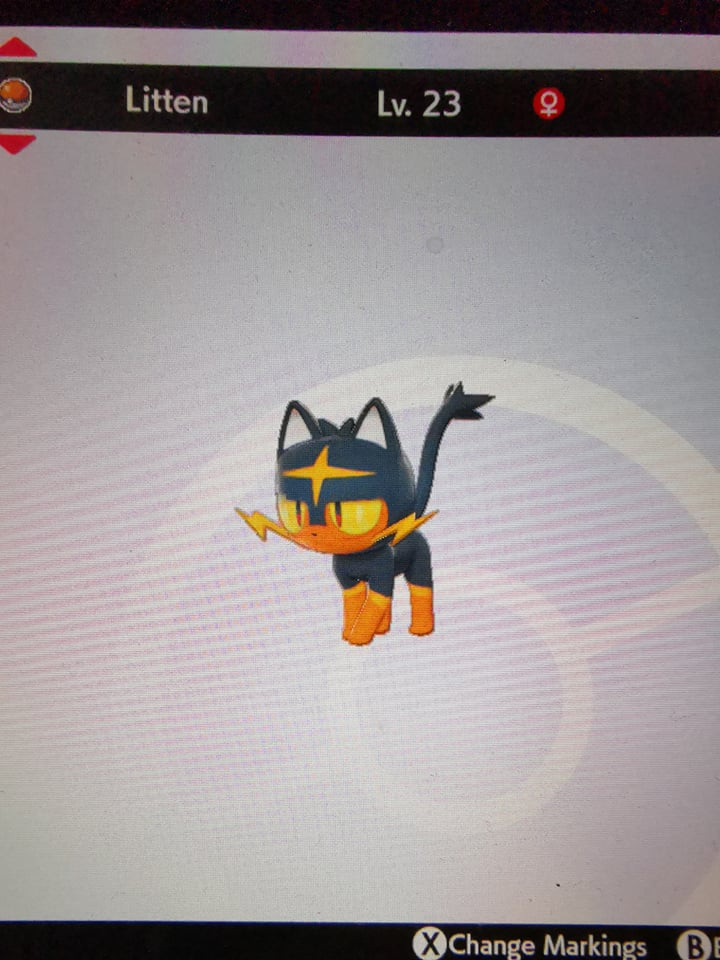 Galarian Litten [Pokemon Sword & Shield] [Mods]