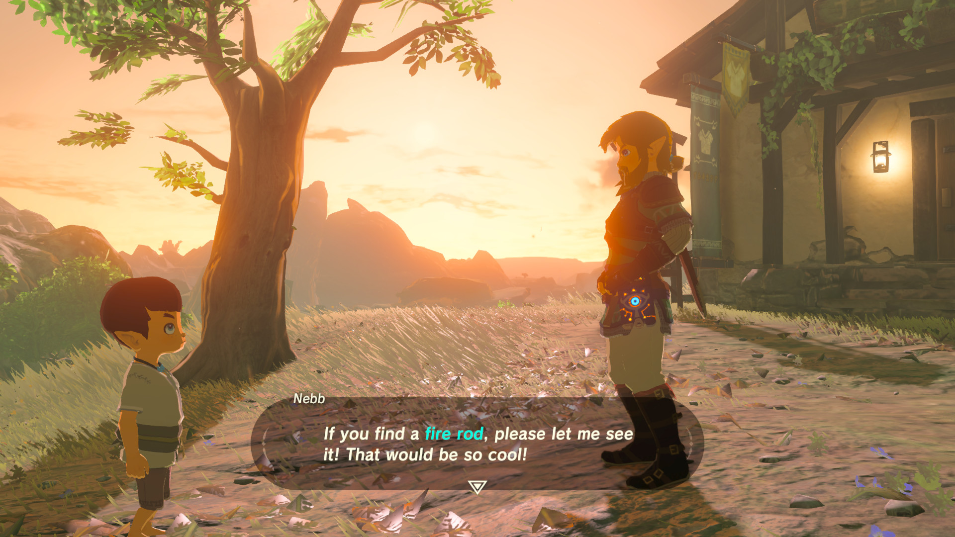 Bearded Link Mod for The Legend of Zelda: Breath of the Wild (WiiU ...