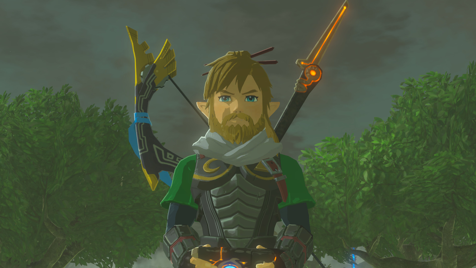 Bearded Link Mod for The Legend of Zelda: Breath of the Wild (WiiU ...