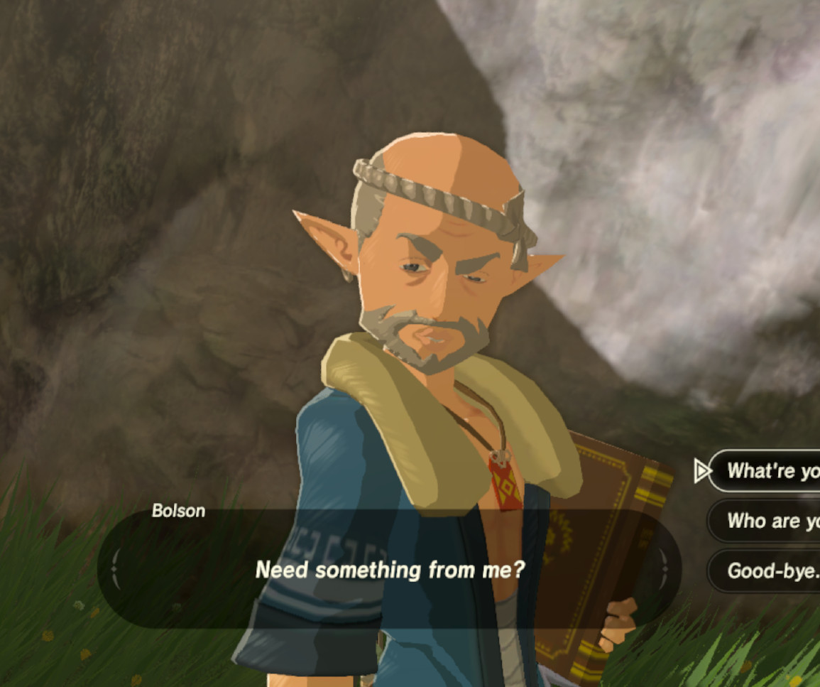 Basic Bolson [The Legend of Zelda: Breath of the Wild (WiiU)] [Mods]