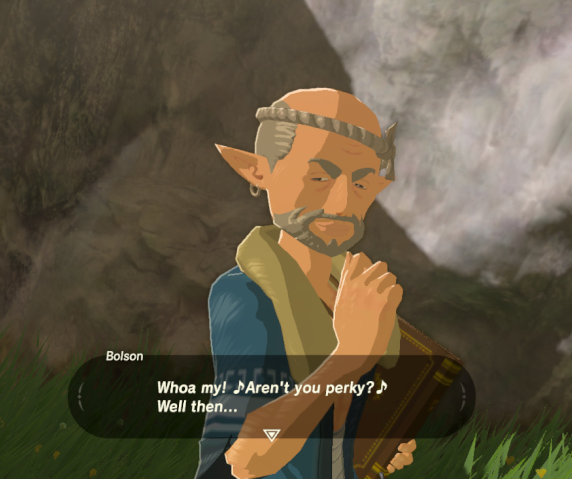 Basic Bolson [The Legend of Zelda: Breath of the Wild (WiiU)] [Mods]