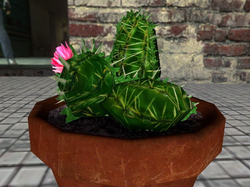 HD Cactus [Half-Life 2] [Mods]