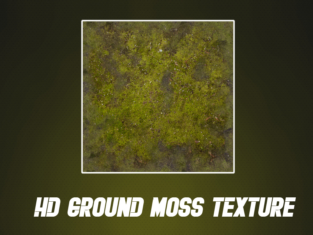 HD Mossy Ground Texture [Source Engine] [Mods]