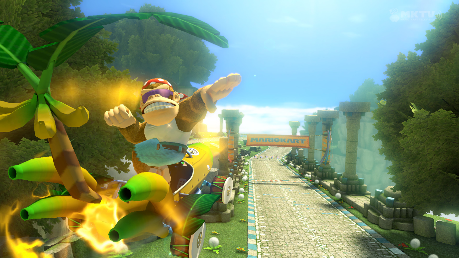 Tropical Glider from MKT [Mario Kart 8] [Mods]