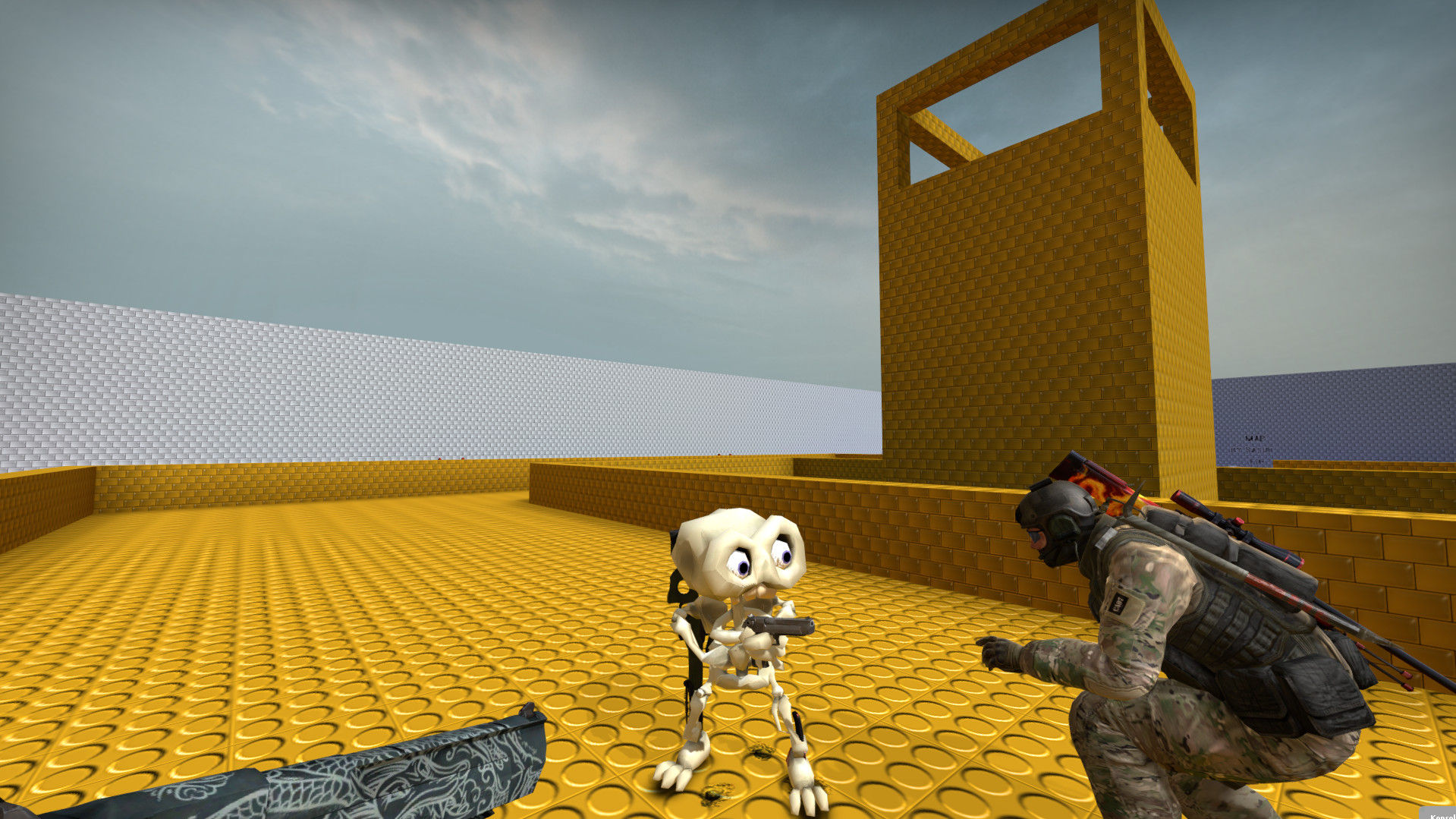 Skeleton [Counter-Strike: Global Offensive] [Mods]