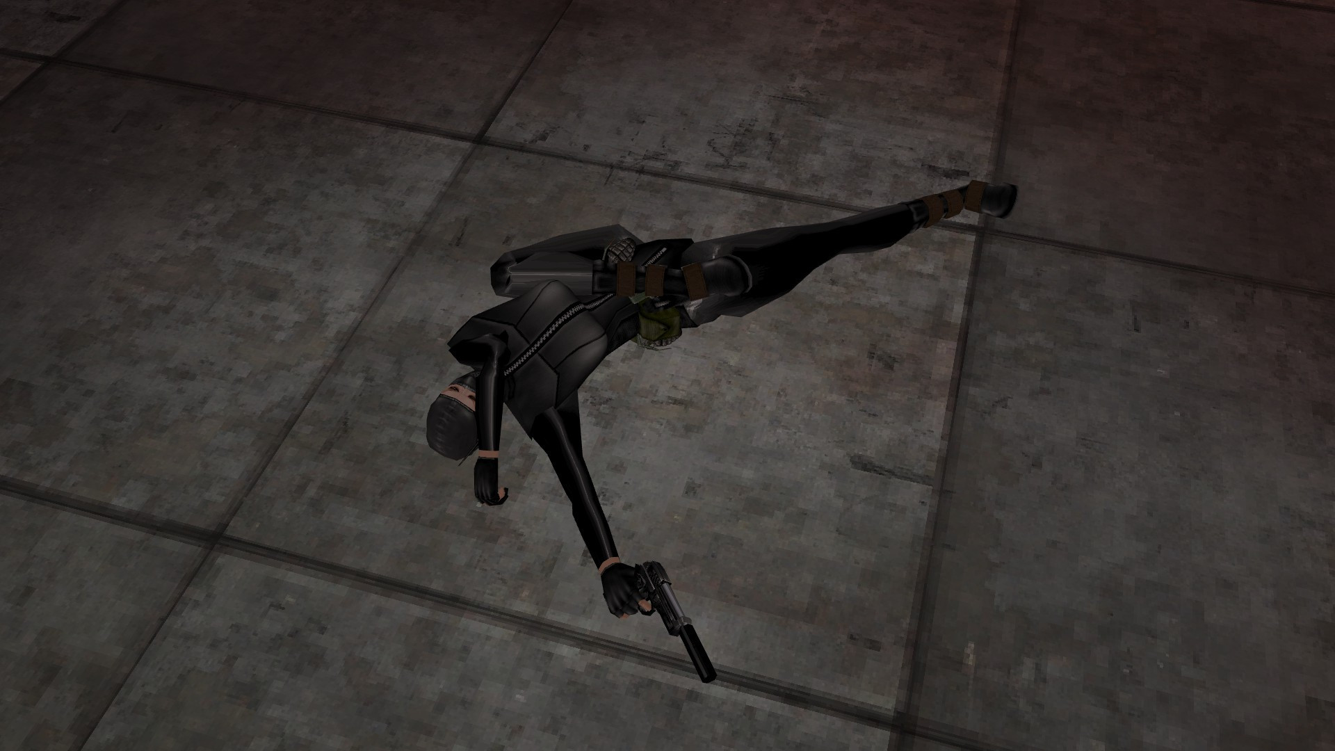 Romka's Assassin Reanimated (Thick Edition) Mod for Half-Life | HL Mods