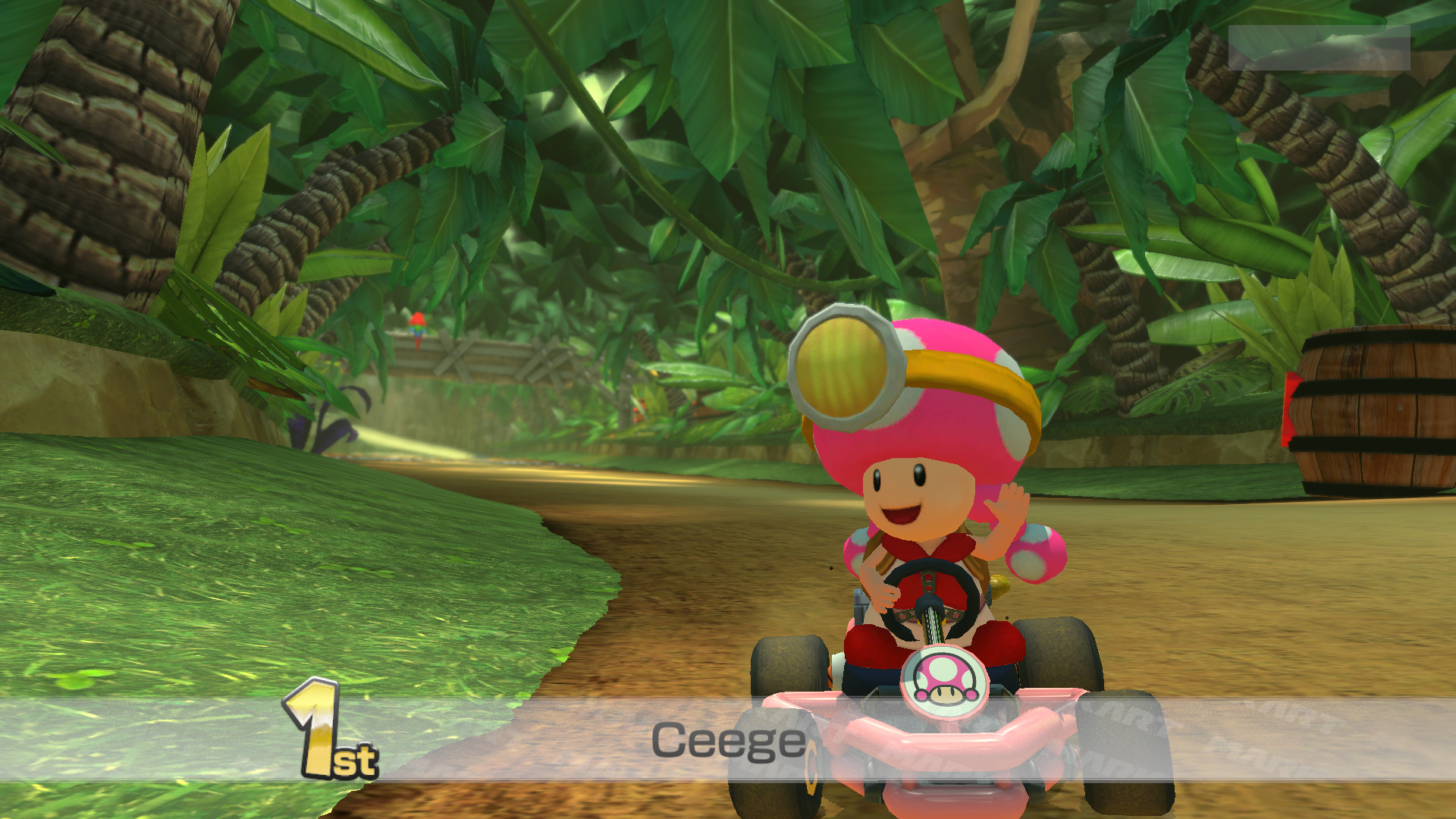 Toadette (Explorer) [Mario Kart 8] [Mods]