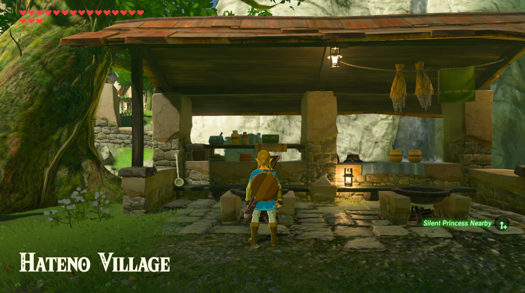 Lucky Ladle Mod for The Legend of Zelda: Breath of the Wild (WiiU ...