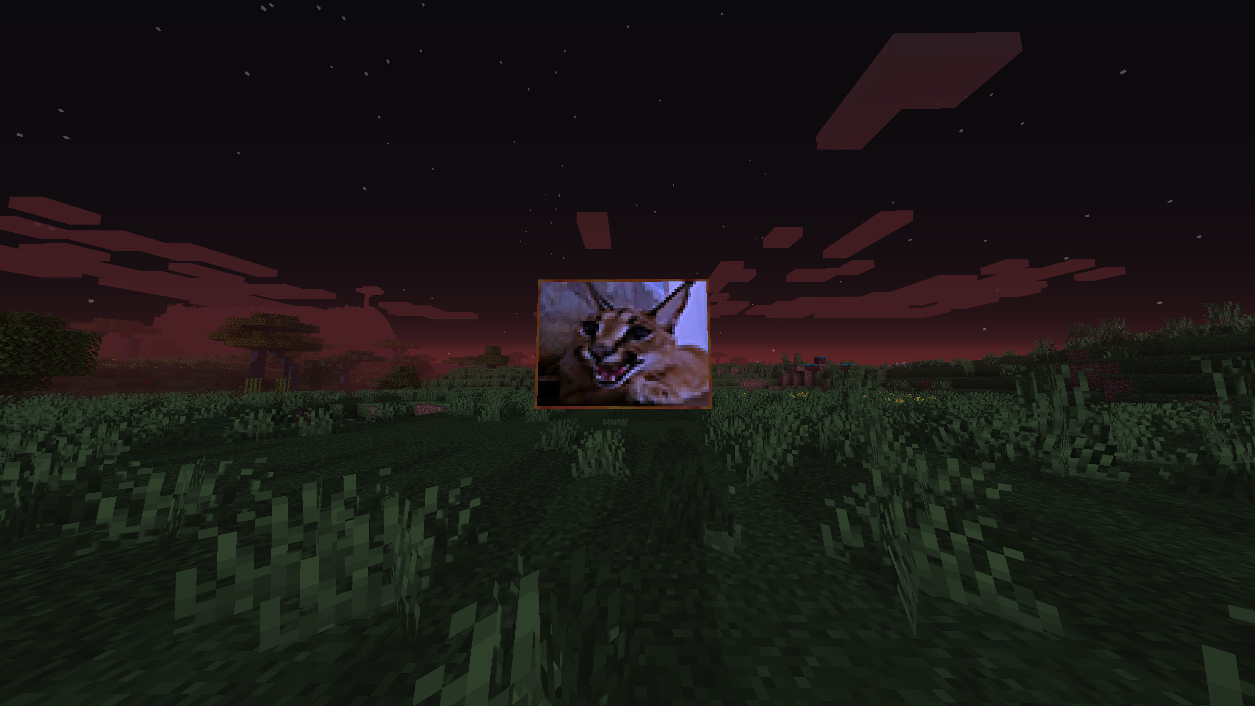 Cat paintings Mod for Minecraft: Java Edition | MC Mods