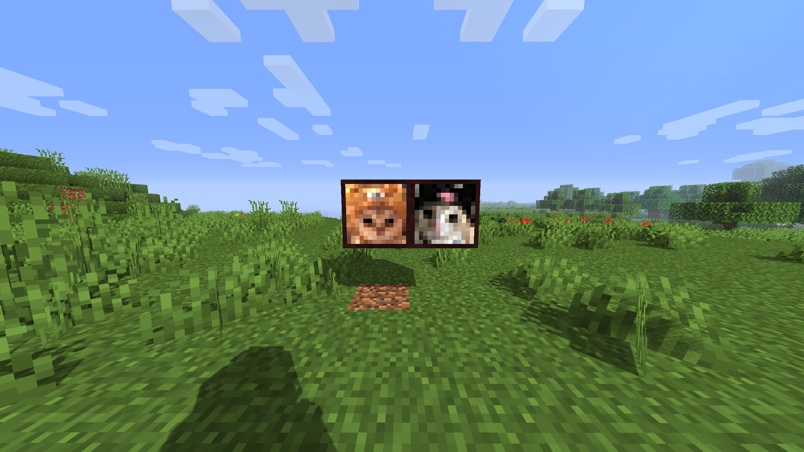 Cat paintings Mod for Minecraft: Java Edition | MC Mods