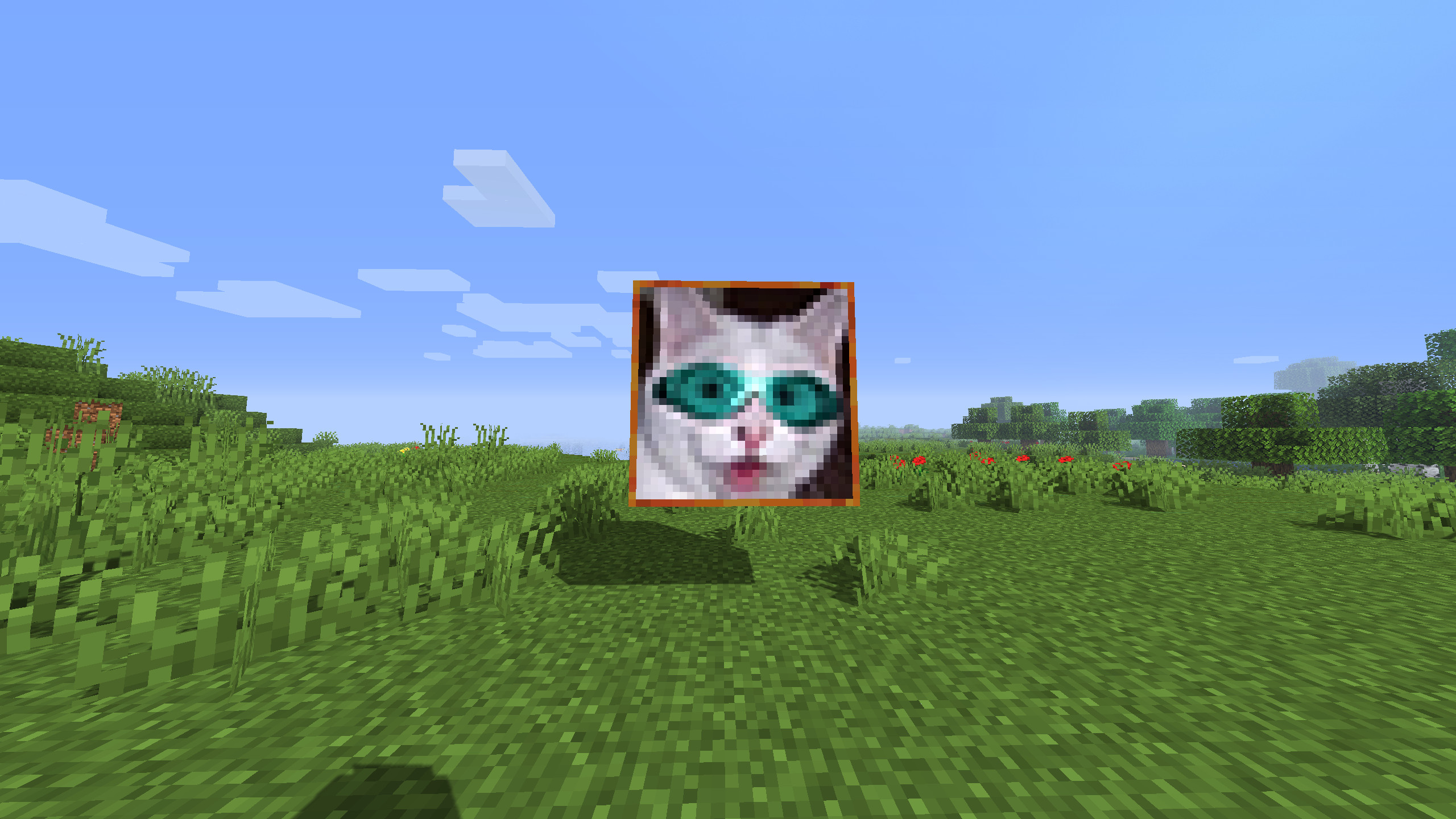Cat paintings Mod for Minecraft: Java Edition | MC Mods