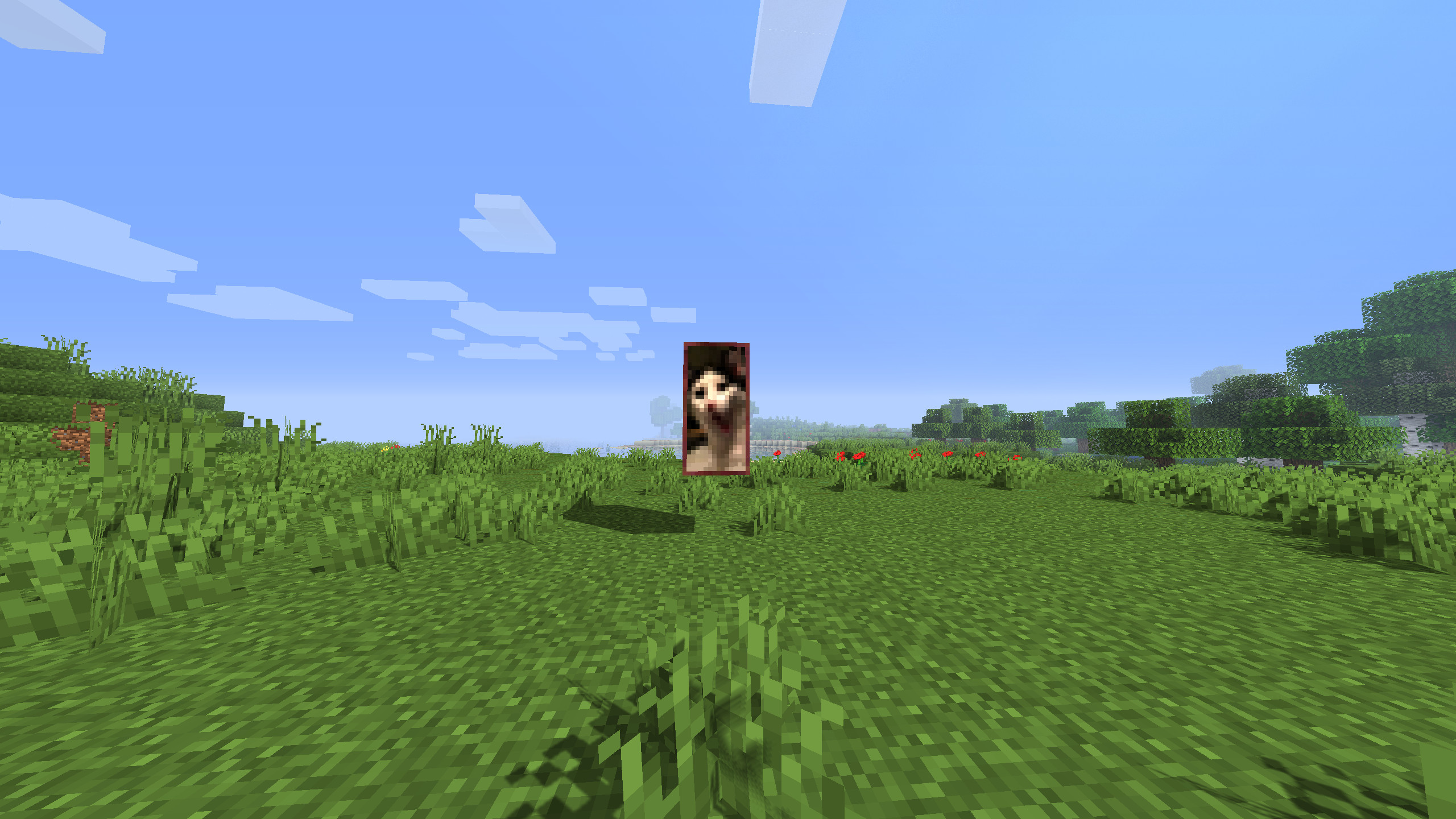 Cat paintings Mod for Minecraft: Java Edition | MC Mods