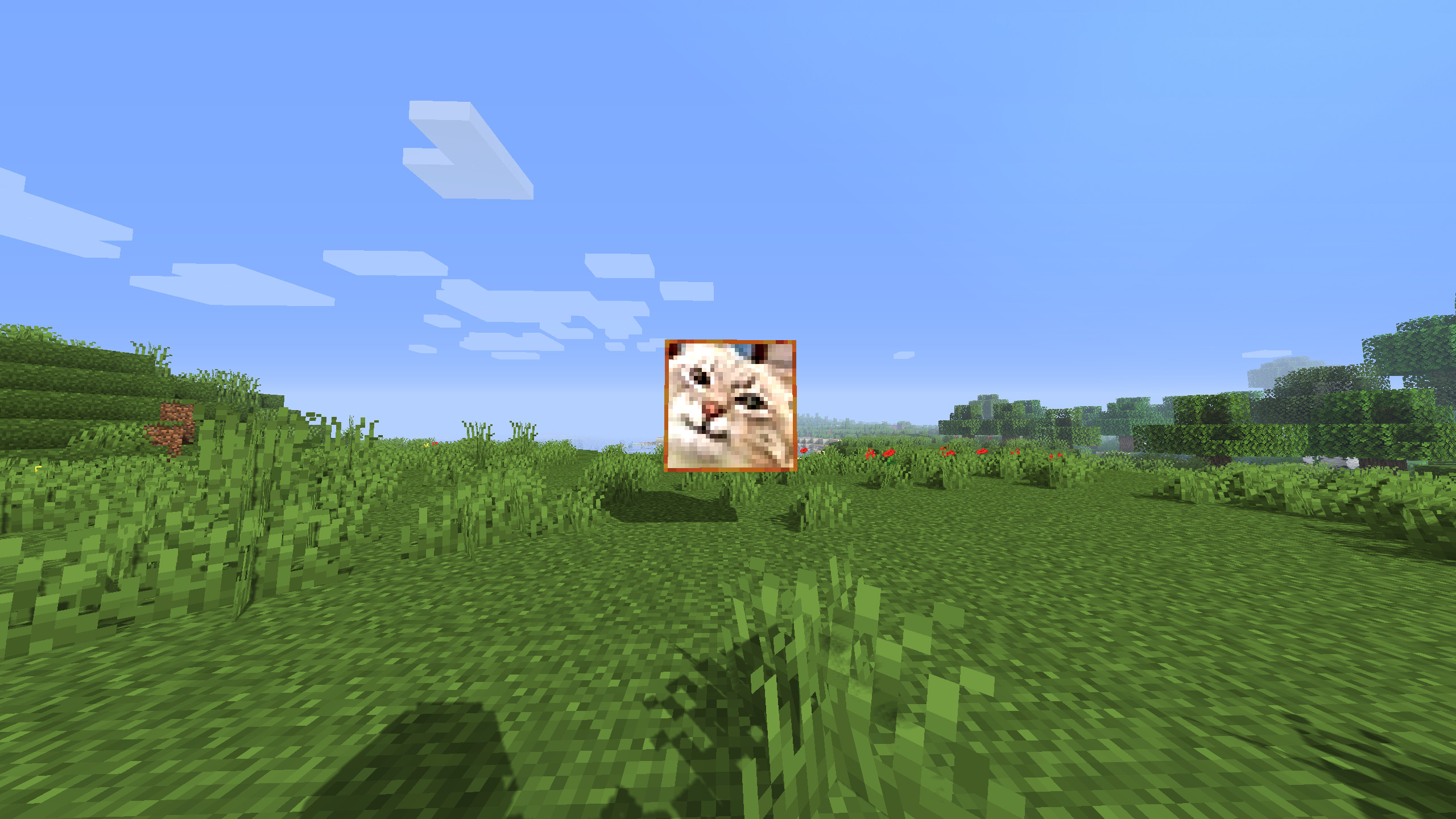 Cat paintings Mod for Minecraft: Java Edition | MC Mods