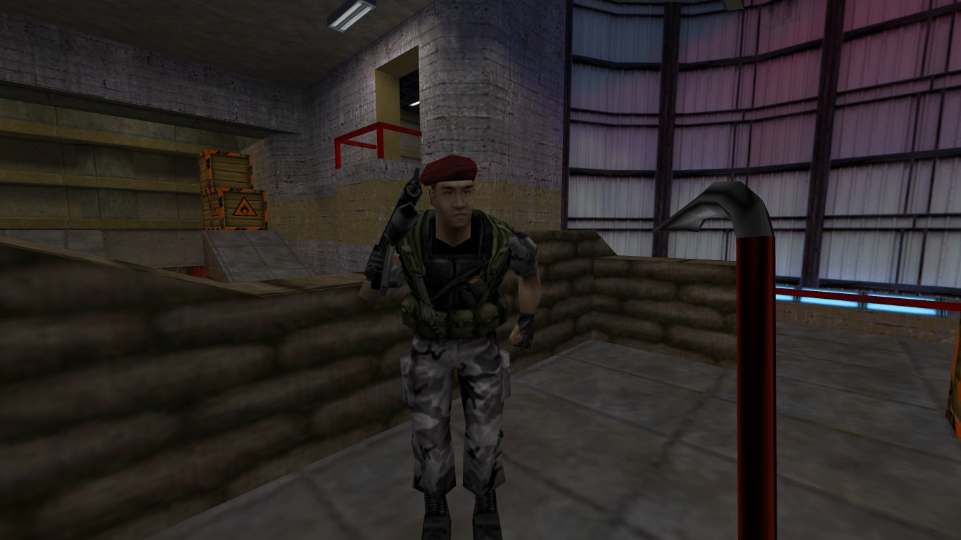 Gearbox LD HECU grunts with hl1 head style Mod for Half-Life | HL Mods