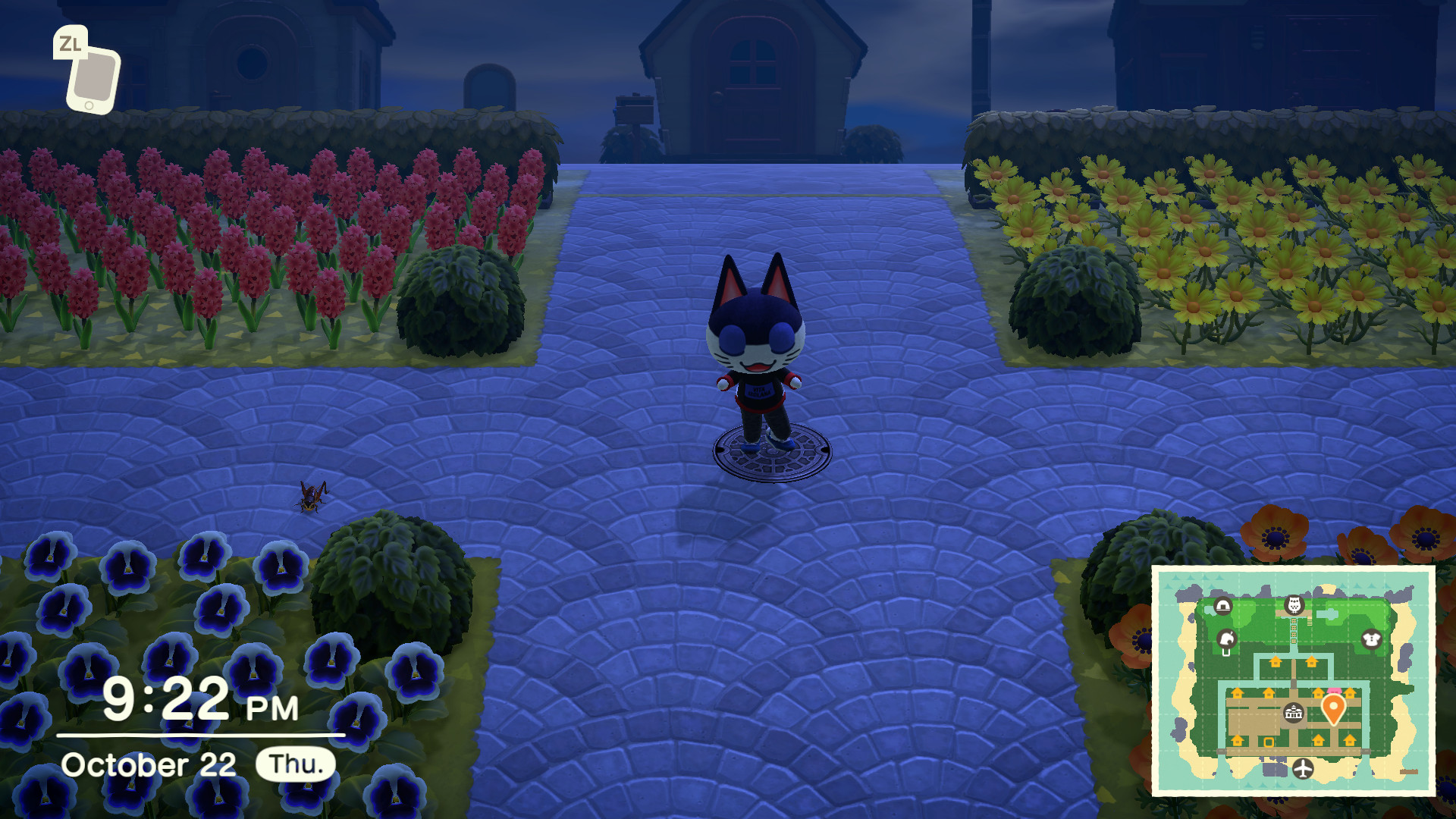 POV: You are Punchy Mod for Animal Crossing: New Horizons | ACNH Mods