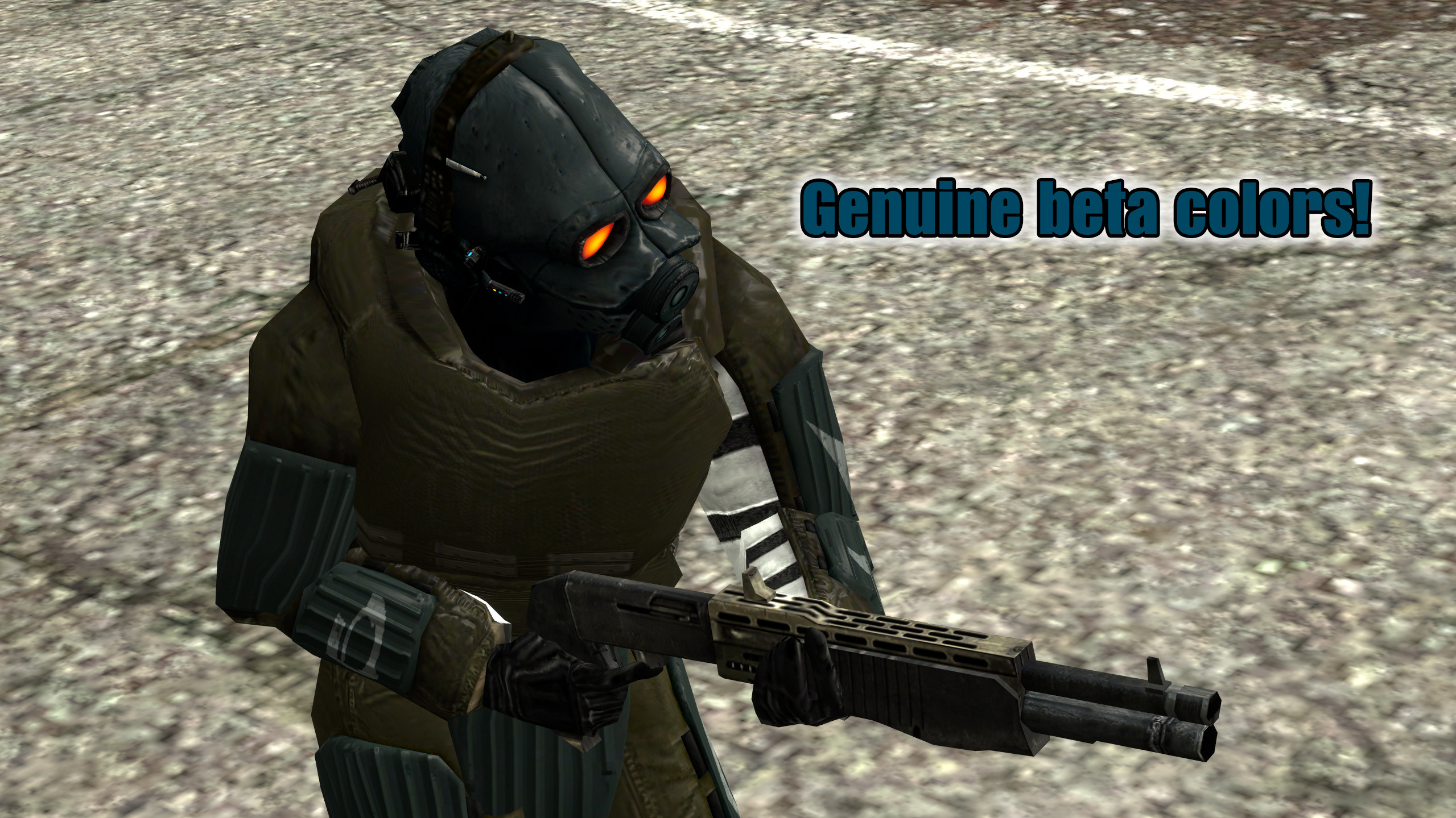 Half-Life 2: Aftermath SkullBreaker Shotgunner! Mod for Half-Life 2 ...