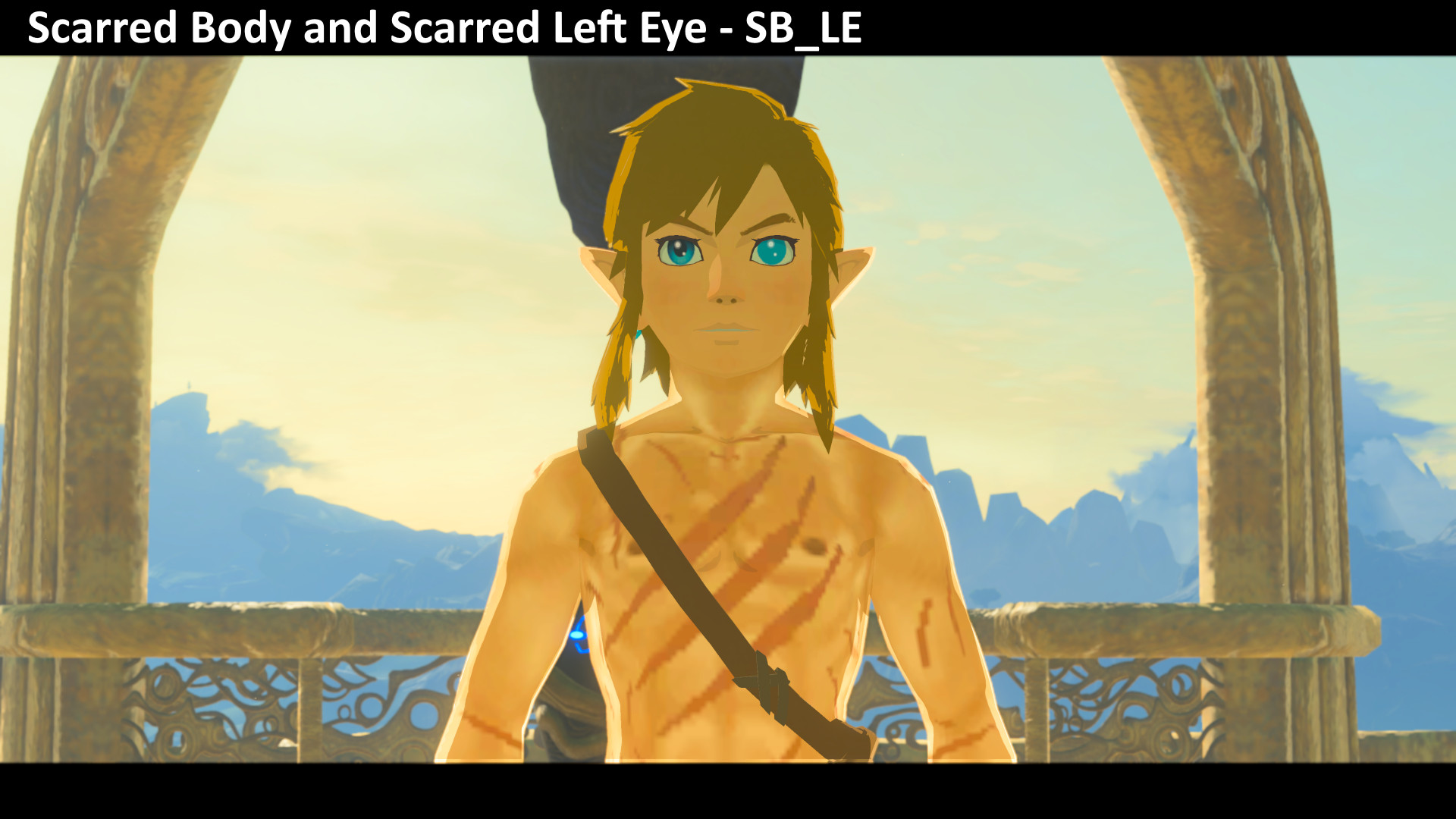Link's Battle Scarred AMST Mod for The Legend of Zelda: Breath of the ...