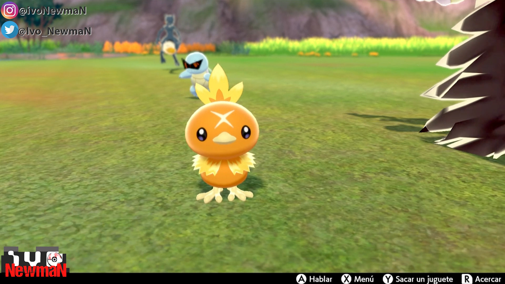 Torchic de Pokemon Mundo Misterioso el equipo de r [Pokemon Sword ...