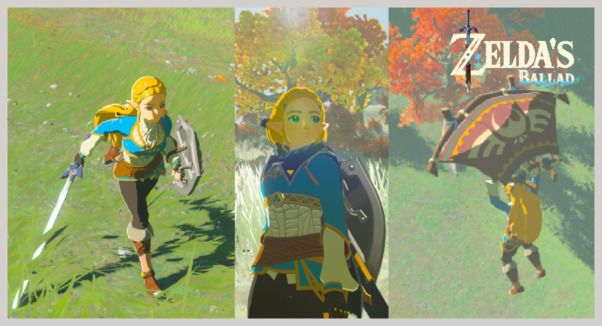 AoC Travel Outfit Zelda + Mod for The Legend of Zelda: Breath of the ...