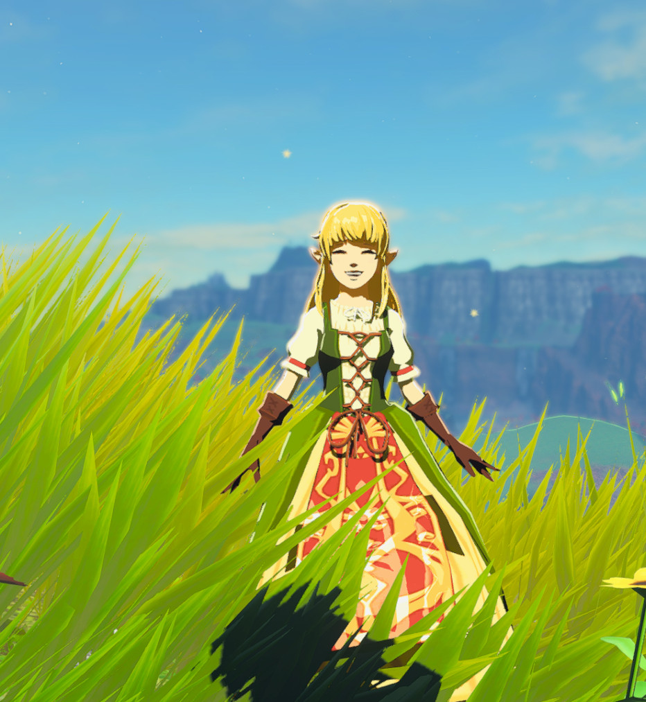 Long Hair Replacer Mod for The Legend of Zelda: Breath of the Wild ...